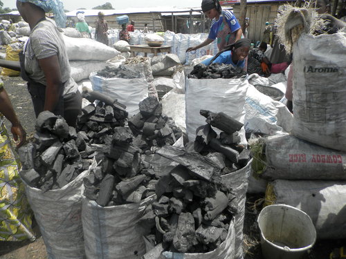 In Africa,more than 23 million tonnes of charcoal are use every year ...