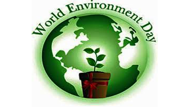 This is what you need to know about World environmental day | African ...